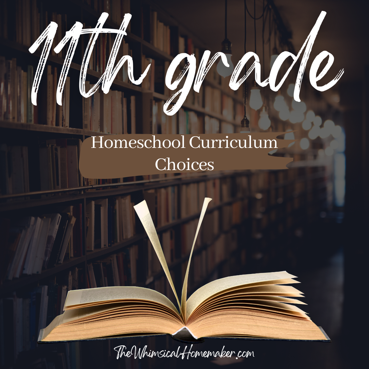 11TH GRADE HOMESCHOOL CURRICULUM CHOICES - The Whimsical Homemaker